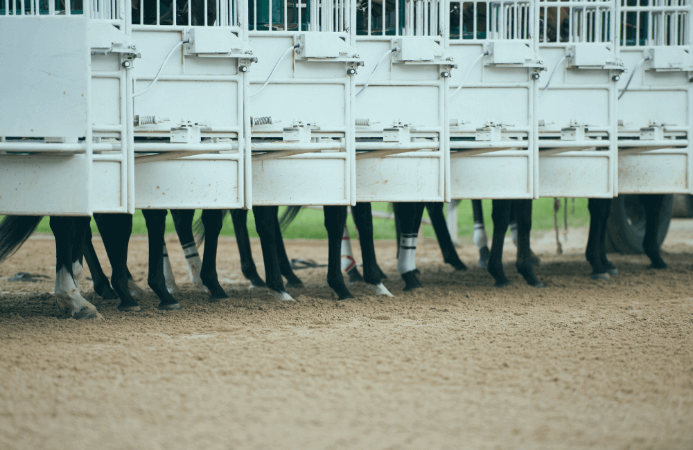 Considering Conducting a Calcutta Sweep? - Mullins Lawyers | Advisors ...